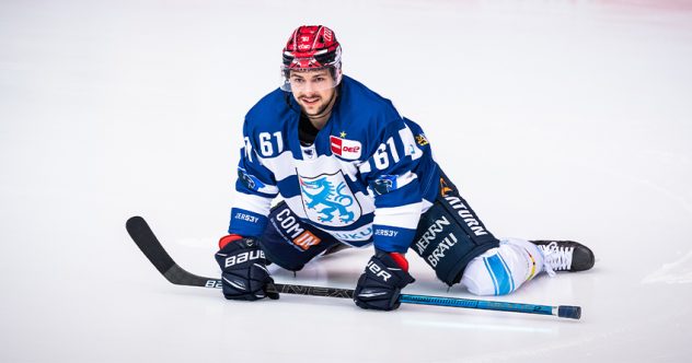 Neuzugang David Elsner im Interview - Straubing Tigers