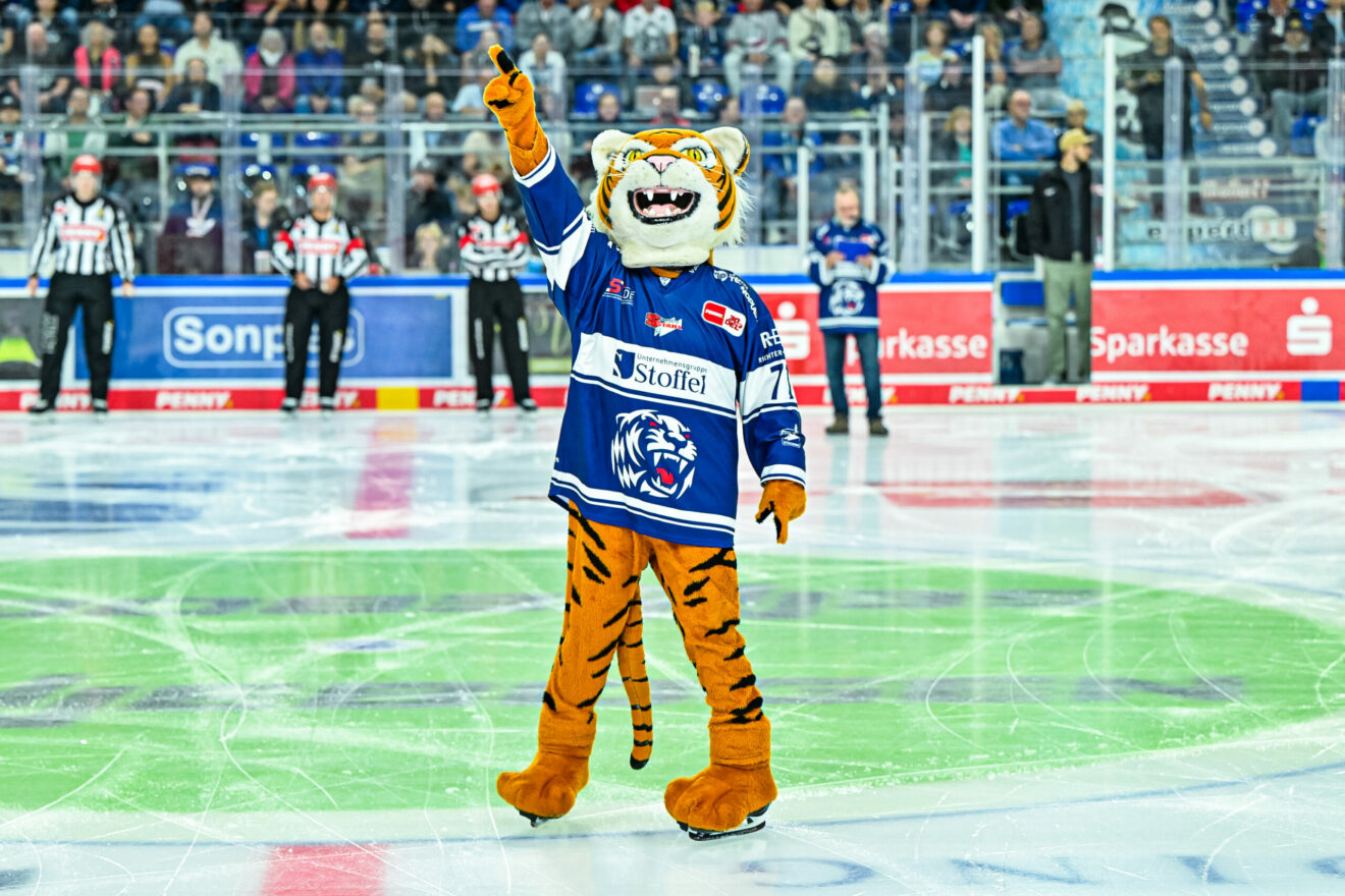 News - Straubing Tigers