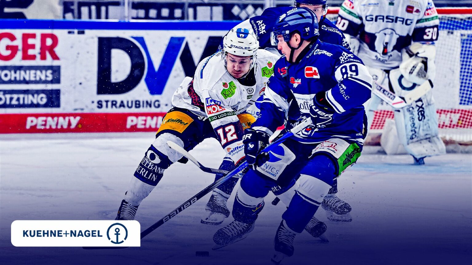 Hauptrunden-Endspurt gegen Eisbären und Wild Wings - Straubing Tigers