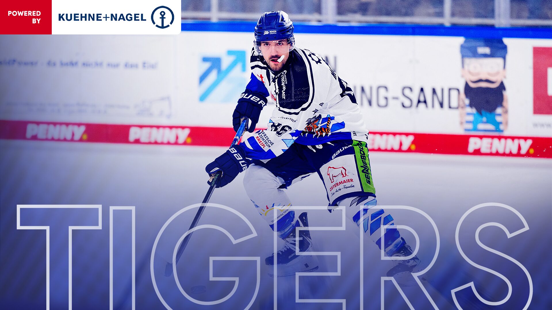 Straubing verliert 1:4 gegen Augsburg - Straubing Tigers